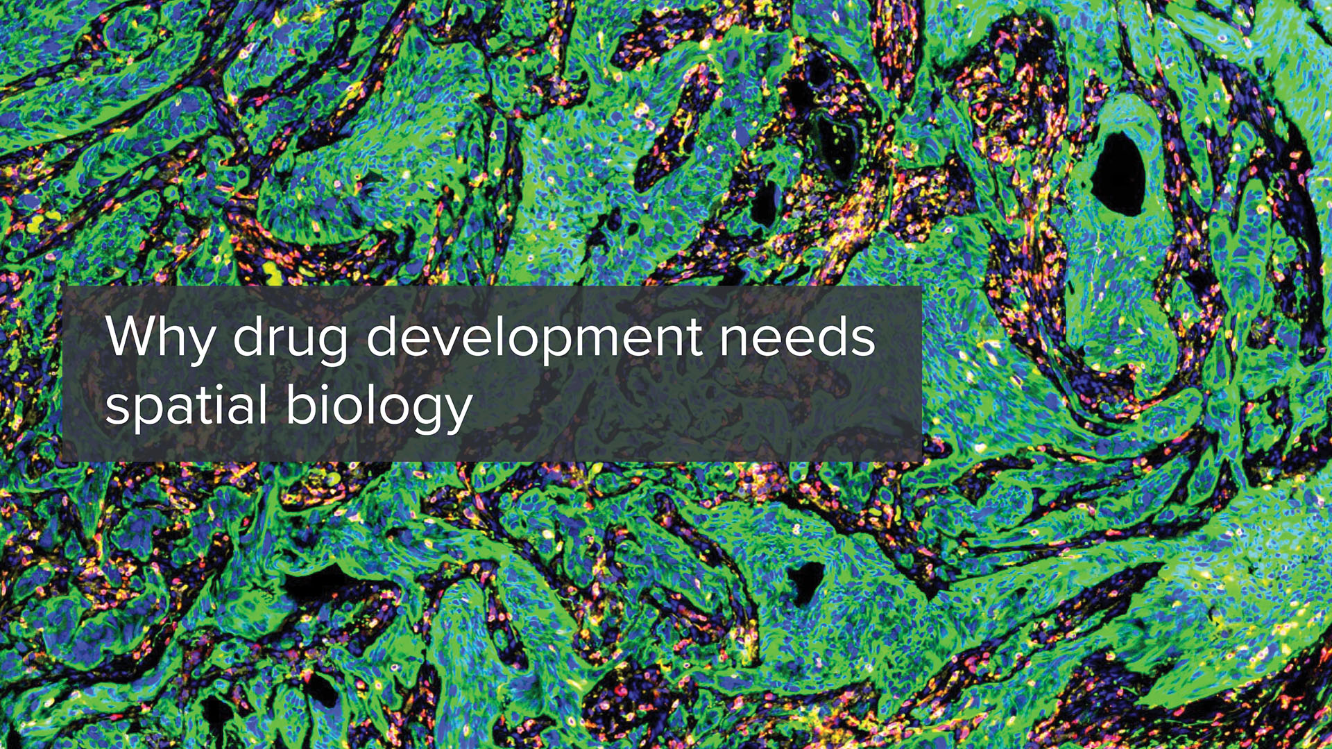 Why drug development needs spatial biology | CellCarta