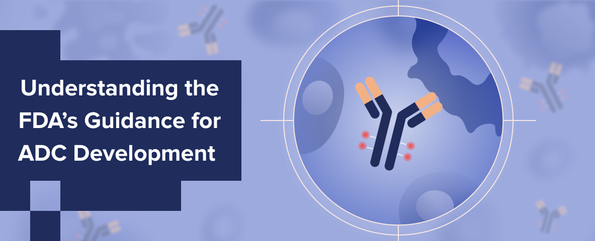 Understanding the FDA’s Guidance for ADC Development | CellCarta